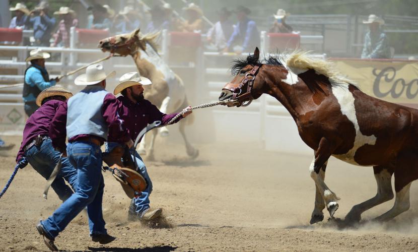 070419 Prescott Frontier Days | Photo Galleries | dcourier.com