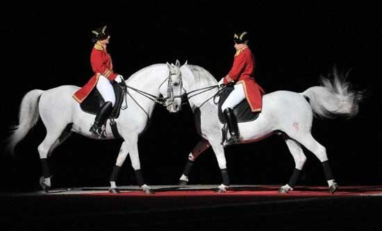 Photo Gallery: The World Famous Lipizzaner Stallions | Photo Galleries ...