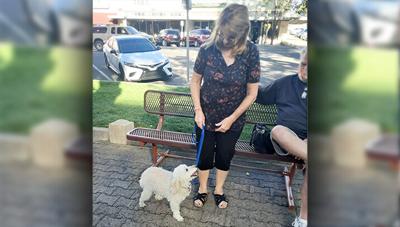 All About Pets: There are leashes and there are leashes! | Features ...