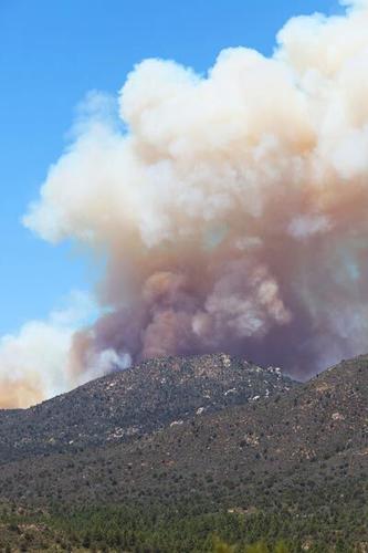 Photo Gallery: Doce Fire Reader and Staff photos | Photo Galleries ...