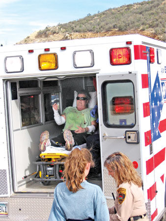 Arizona on track again for record number of Rabies cases | Features ...