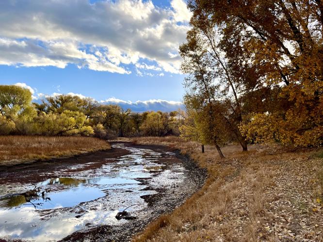 Up for a Thanksgiving hike? Opportunities for fall colors still remain ...