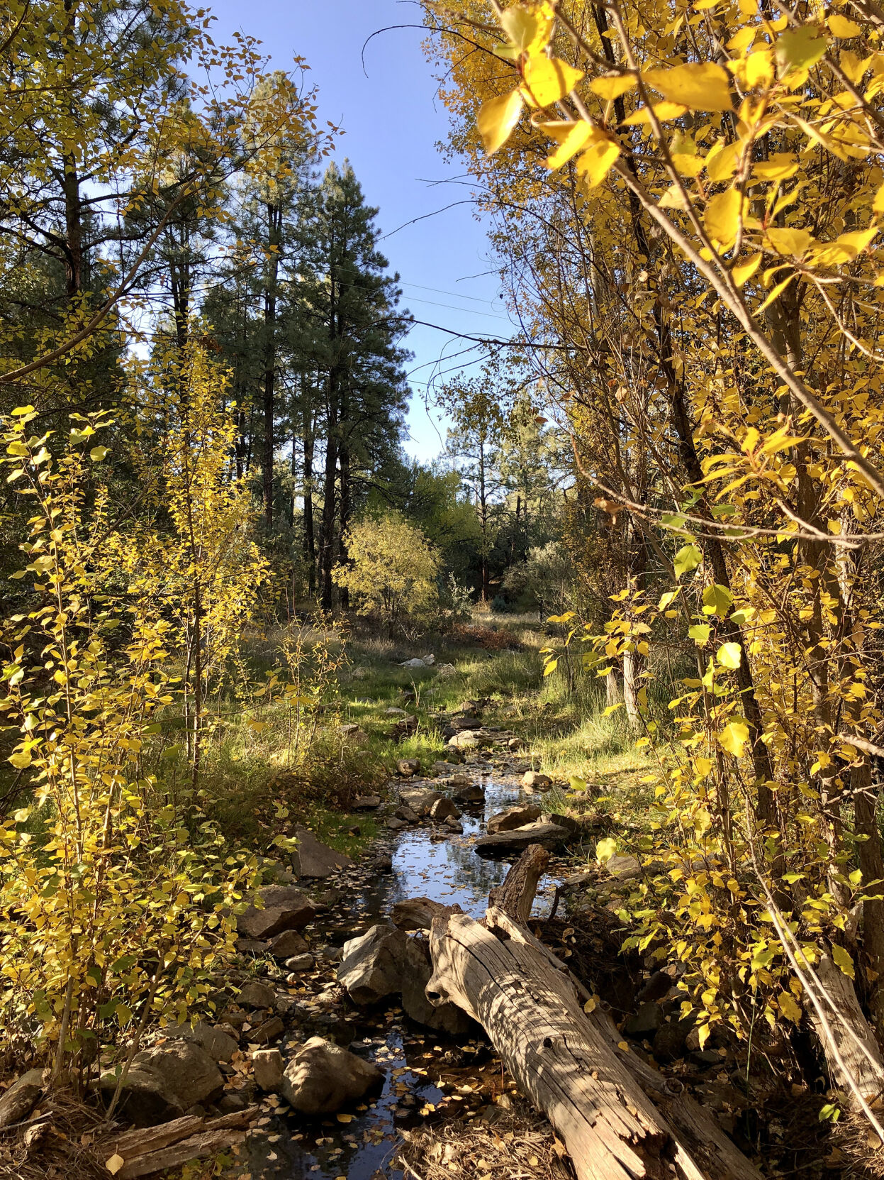 It’s happening: Where to find Prescott-area fall colors and when to ...