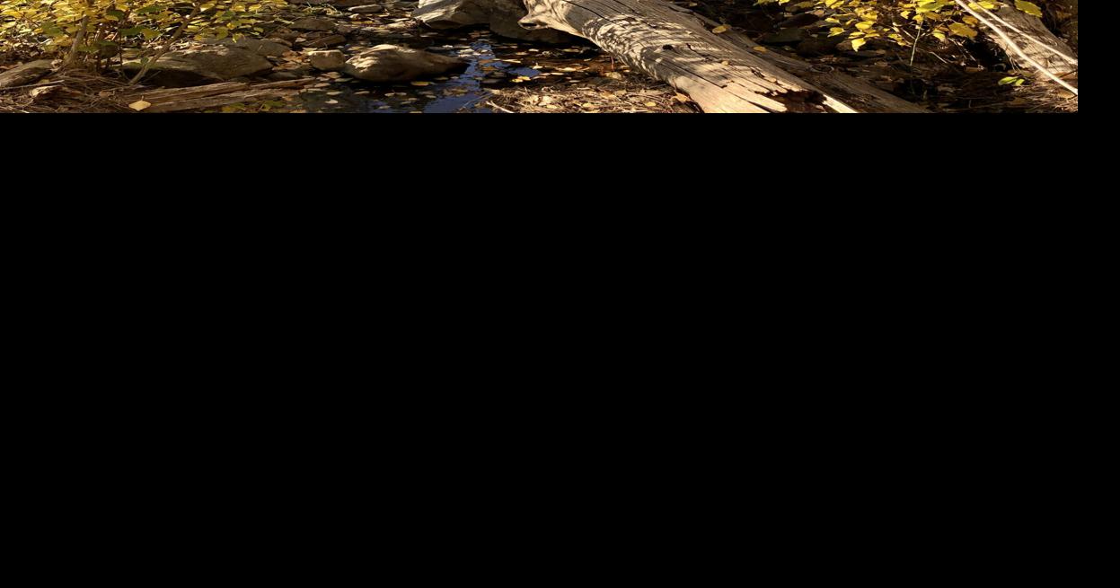 It’s happening: Where to find Prescott-area fall colors and when to ...