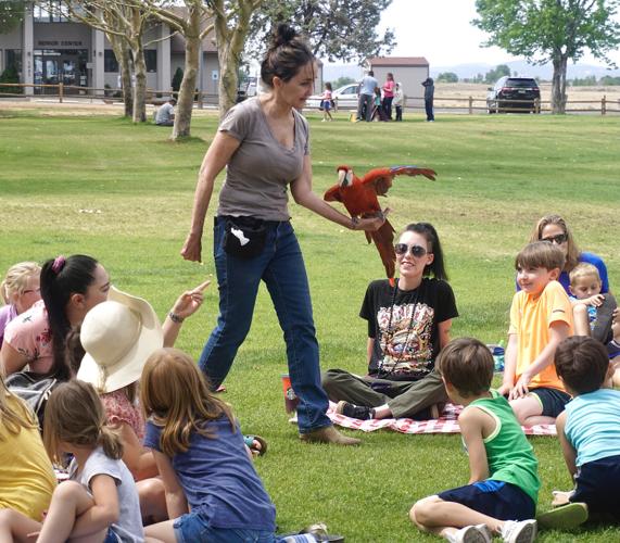 Live events at Chino Valley Library bring summer fun | Chino Valley ...