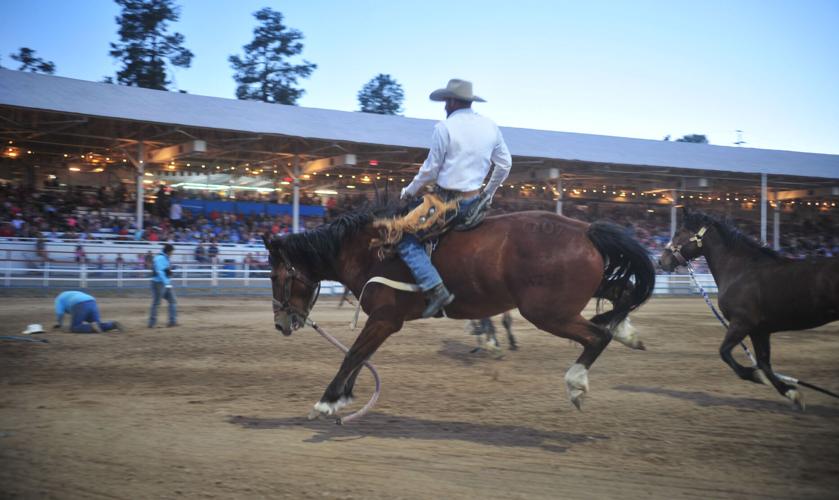 070219 Prescott Frontier Days Rodeo | Photo Galleries | dcourier.com