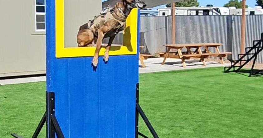 K-9 agility course opens in Prescott Valley for police dog training ...