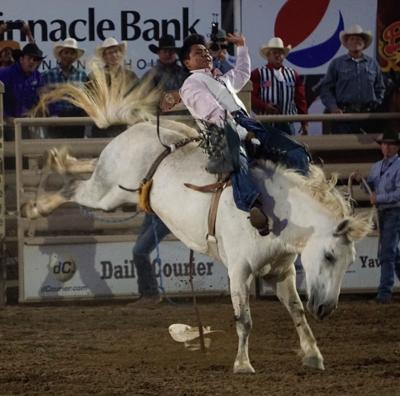 Picture This: Friday Night Lights at the rodeo! | News | dcourier.com