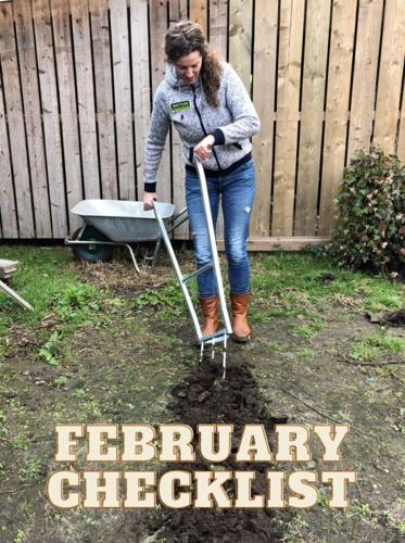 The Mountain Gardener: Preparing for spring essential February garden ...