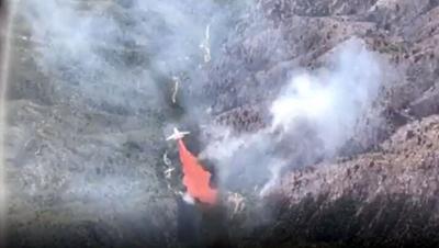 Update: Cellar Fire growth halted | News | dcourier.com