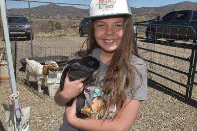 Picture This: Dewey-Humboldt Days 2024 delivers fun-filled festivities ...