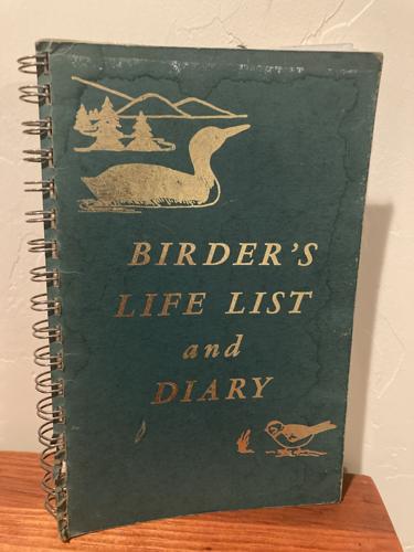 Birding: Are my ears deceiving me, or did I just hear a white-throated ...