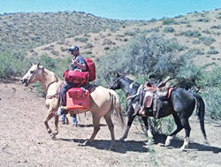 Mayer firefighter rides horse to rescue of man with chest pains on Orme Ranch | Features ...