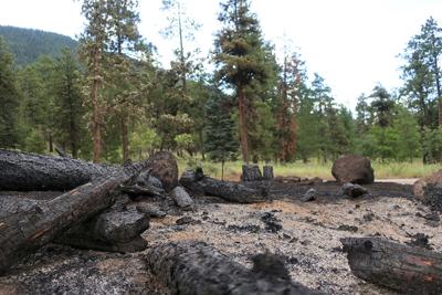 Kaibab and Coconino National forests rescinding fire restrictions today ...