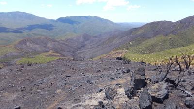 Cellar Fire area closure lifted | News | dcourier.com