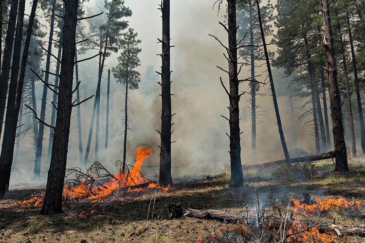 Stubbs Fire continuing to burn in Camp Wood | Chino Valley Review ...