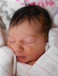 Birth: Elise Lydia Ingram | Life | dcourier.com