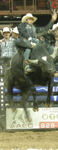 Photo Gallery: Largest crowd ever at Tim's for professional bull riding ...