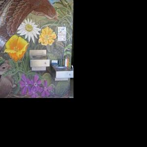 Mural celebrations at Acker Park on Sunday | News | dcourier.com