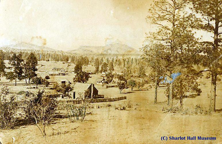 Days Past: Forsaken at 15 – The Tale of Carrie Stephens (Part 1 ...