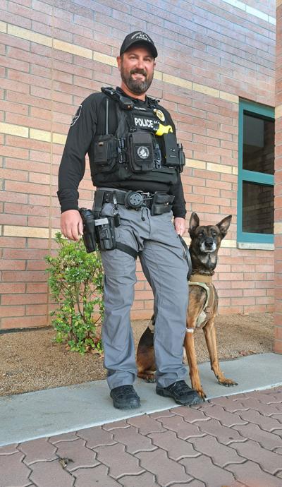K9s: PVPD’s invaluable assets aid in all manner of police work | News ...