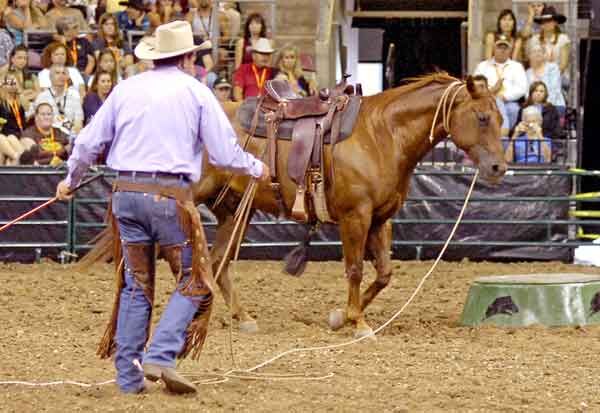 Pat Parelli Equine Seminar | Photo Galleries | dcourier.com