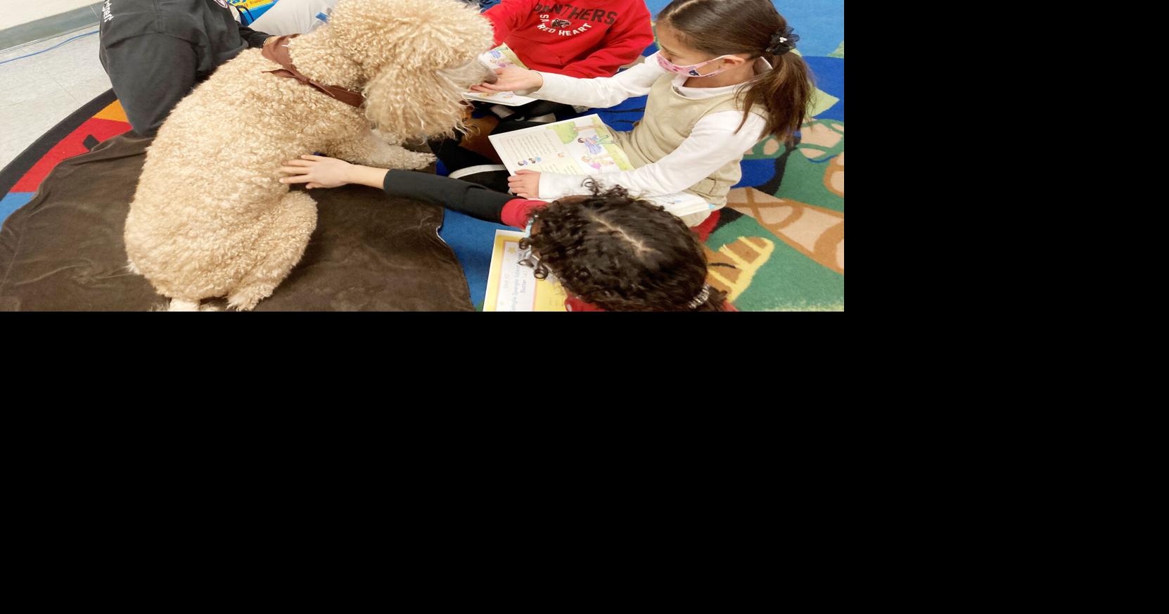 Prescott therapy dogs offering ‘Unconditional Love’ | News | dcourier.com