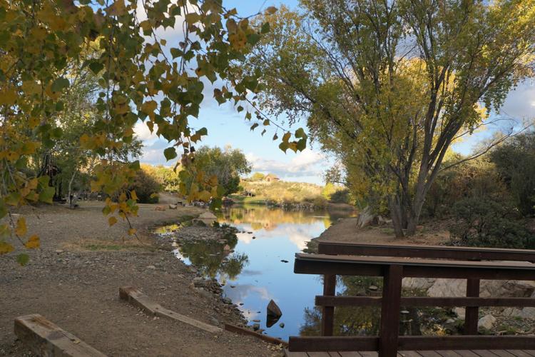 Prescott Area Waterfront Fall Foliage | Photo Galleries | dcourier.com