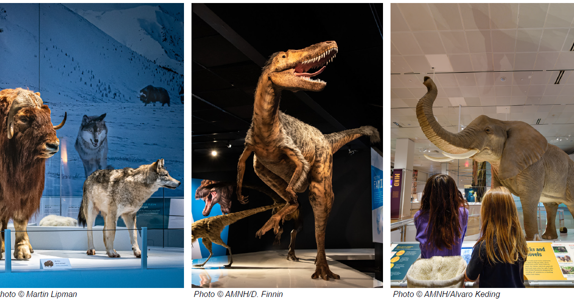 Fernbank Museum announces upcoming exhibits for 2026 | DeKalb County ...