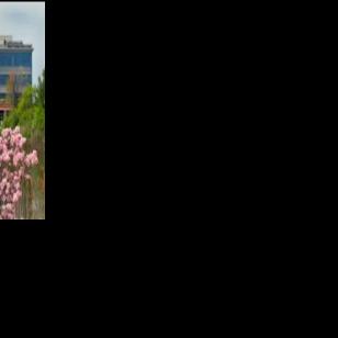 Graham Cancer Center wins national honor | Archives ...