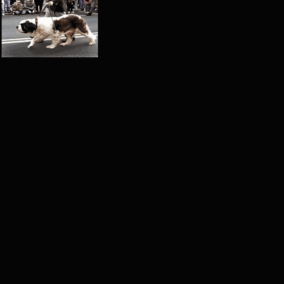 From the Delaware Public Archives: Remembering Senator Roth | Archives ...