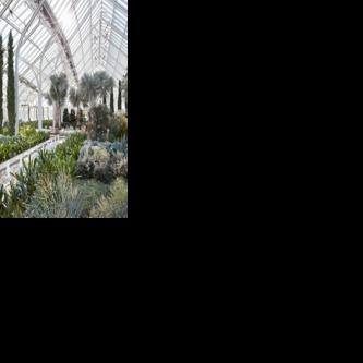 Longwood Reimagined to be unveiled on Nov. 22 | Transportation ...