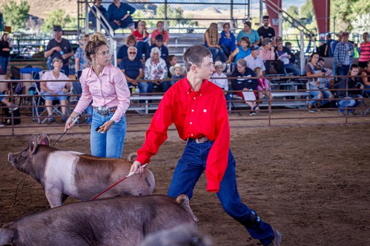 Swine show names Kiera Stroh, Macy Mitchell champions | News ...
