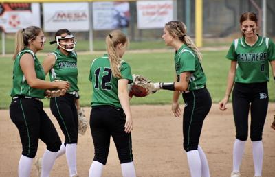 Softball roundup | Sports | deltacountyindependent.com