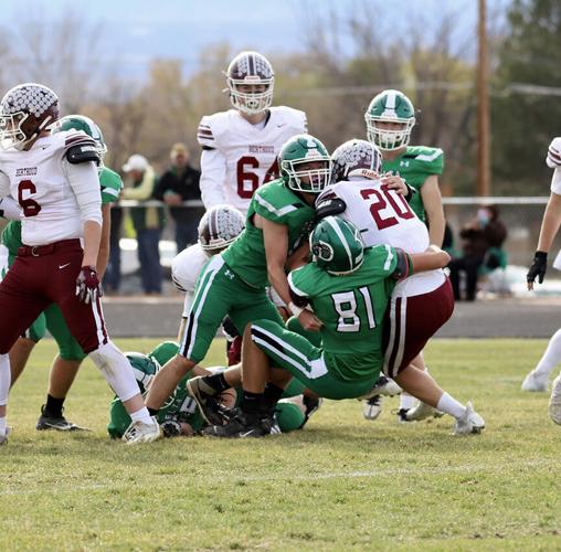 Panthers dominate in opening playoff game | Sports ...