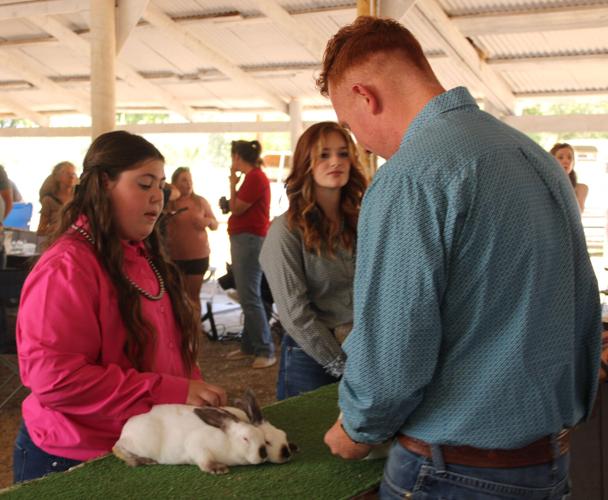 Attendees enjoy rabbit showmanship | News | deltacountyindependent.com