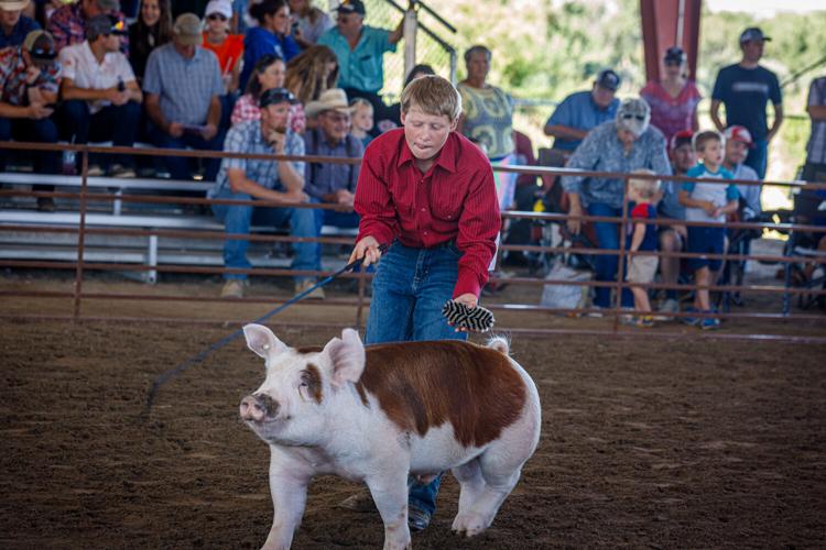 Swine show names Kiera Stroh, Macy Mitchell champions | News ...