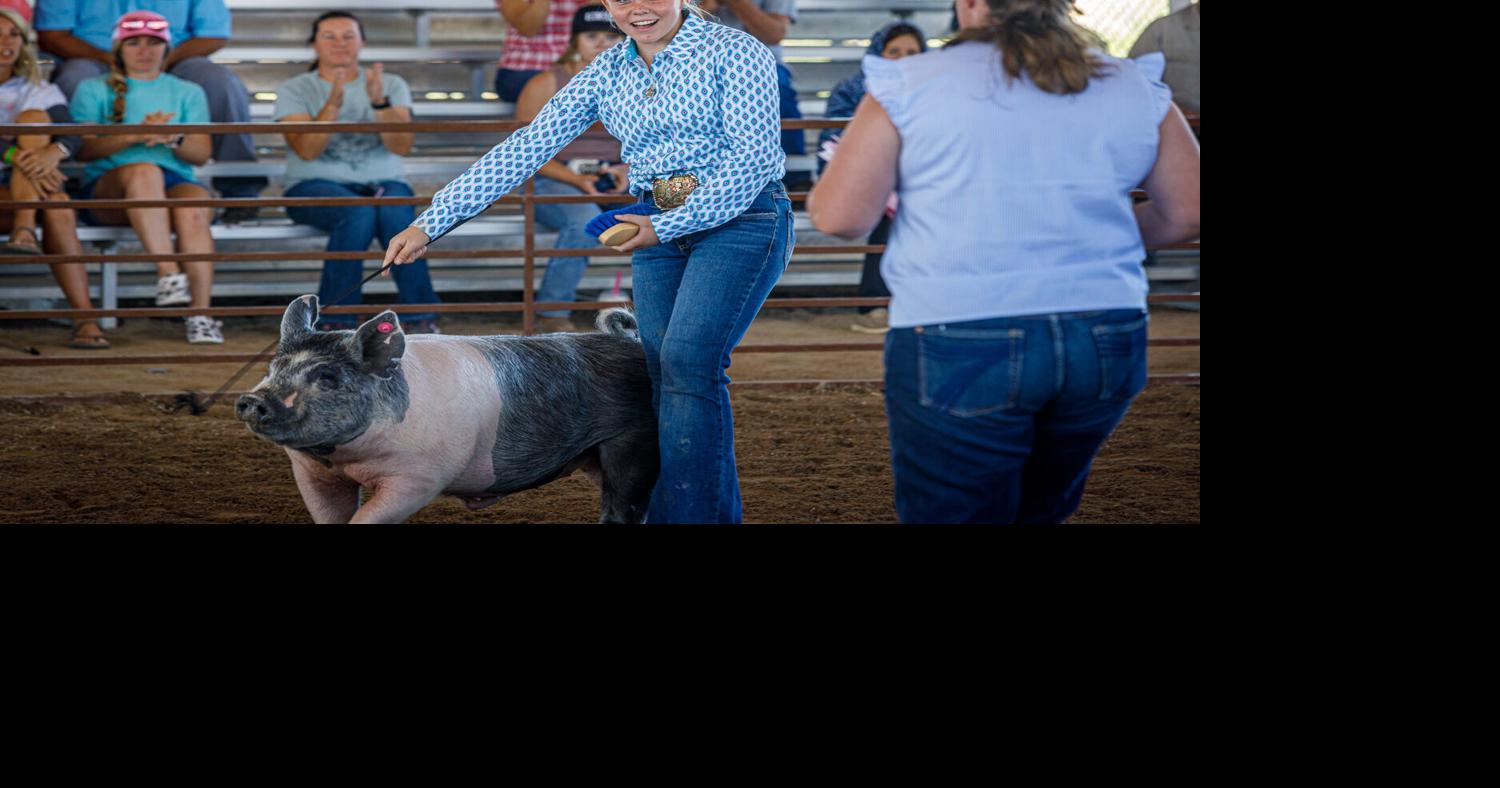 Swine show names Kiera Stroh, Macy Mitchell champions | News ...
