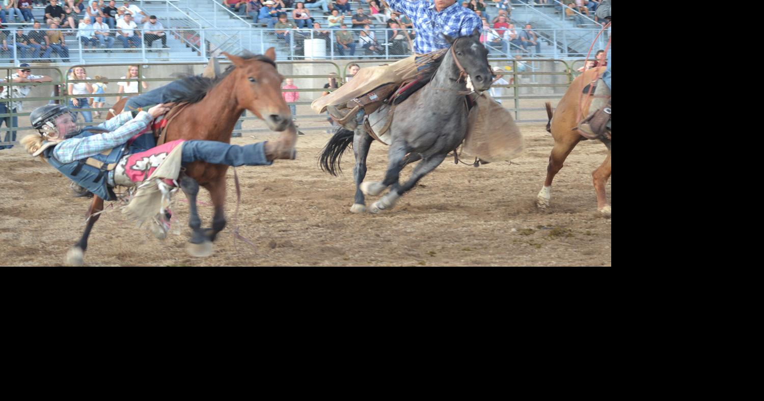 Mini Broncs | | deltacountyindependent.com