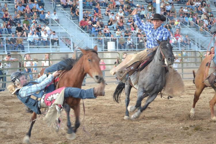 Mini Broncs | | deltacountyindependent.com