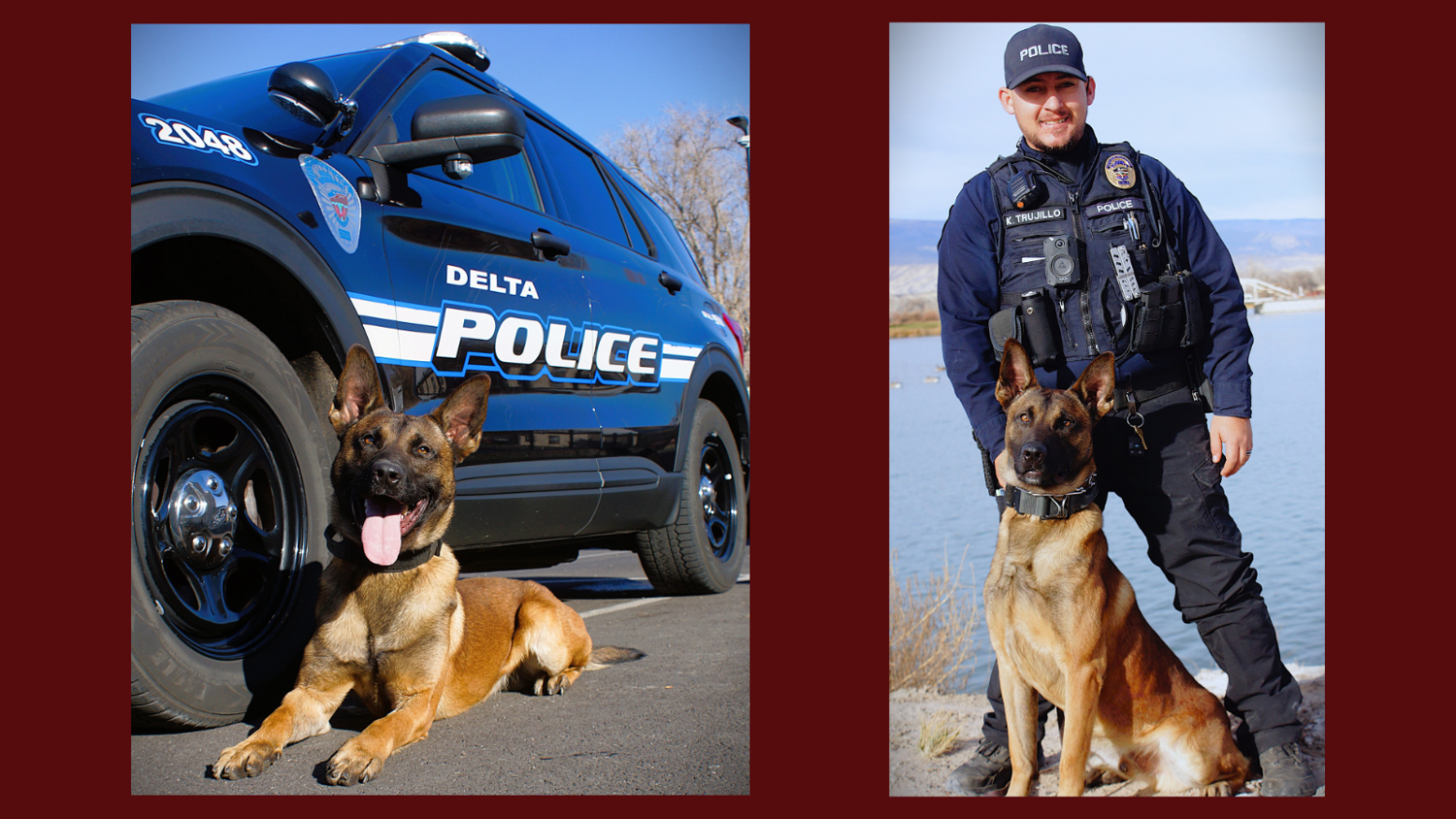 Delta Police Department welcomes K-9 Hunter; New police dog will make ...