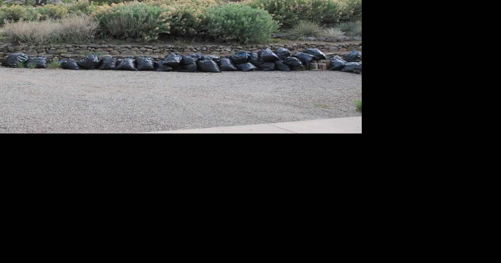 WHAT'S BUGGING YOU? How is your spring garden cleanup going? | Outdoors ...