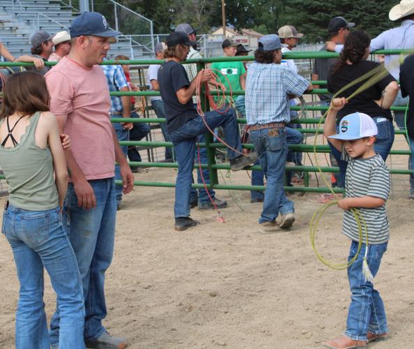 Goat roping at the fair provides fun for all ages ...