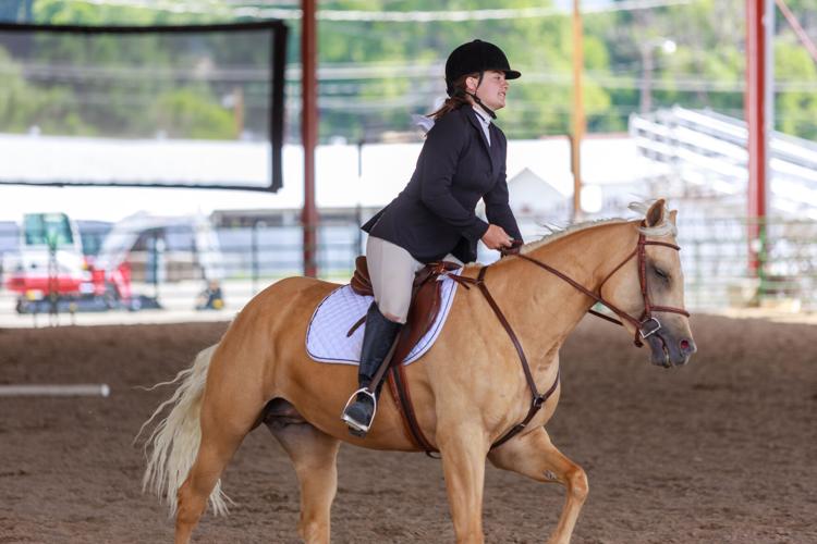 Horse show kicks off livestock exhibitions at Delta County Fair | News ...