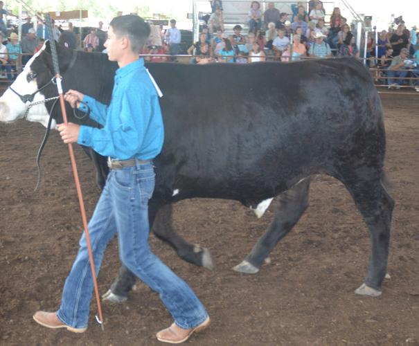 Delta County Fair concludes, results to come | News ...
