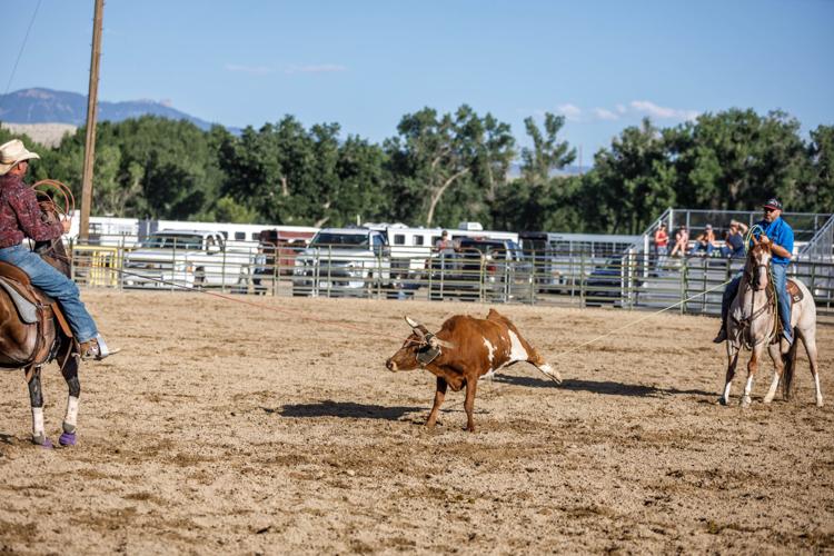 Team roping sets the tone for rodeo week | News ...
