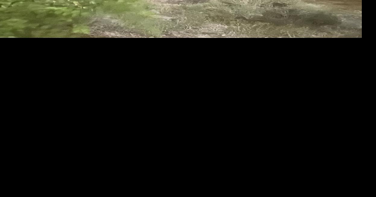 Independence Day fire at Grand Boulevard and Third likely caused by ...