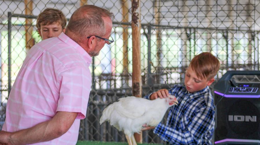 2023 Delta County Fair brings return of poultry | News ...