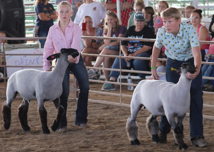 Market sheep showmanship winner is Landon Spaedt, bred n fed goes to ...