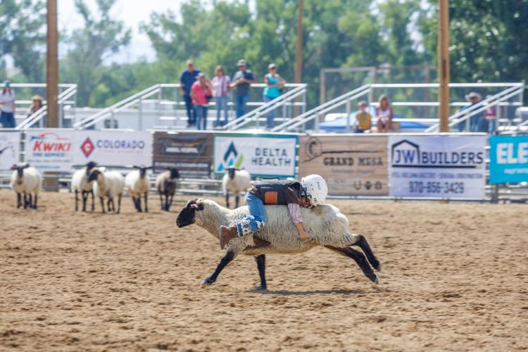Junior rodeo and pee-wee division shows off the younger class | News ...
